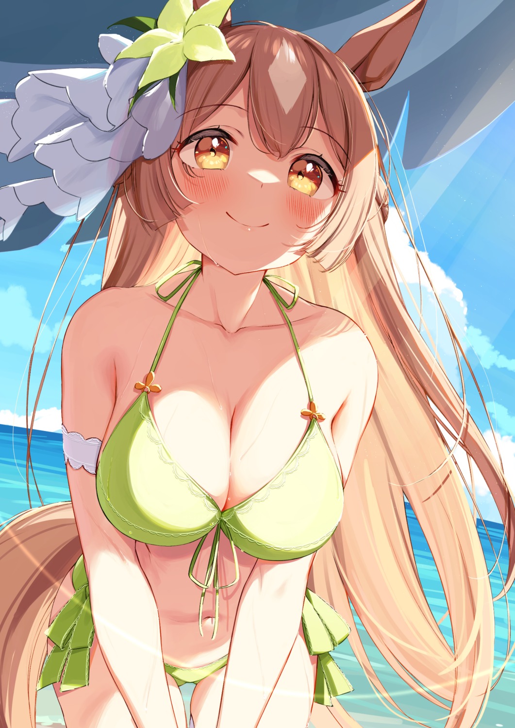 saboten mushi uma musume pretty derby satono diamond (umamusume) animal ears bikini swimsuits ...